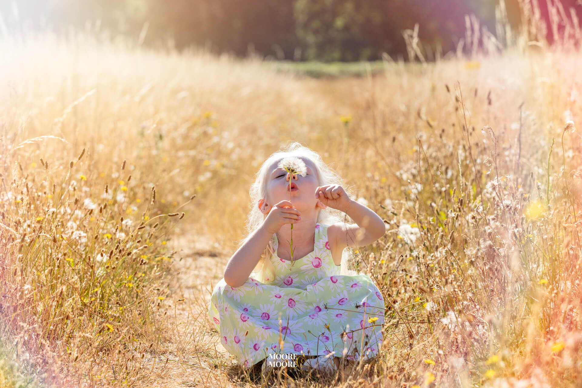 Family Photographer Hampshire